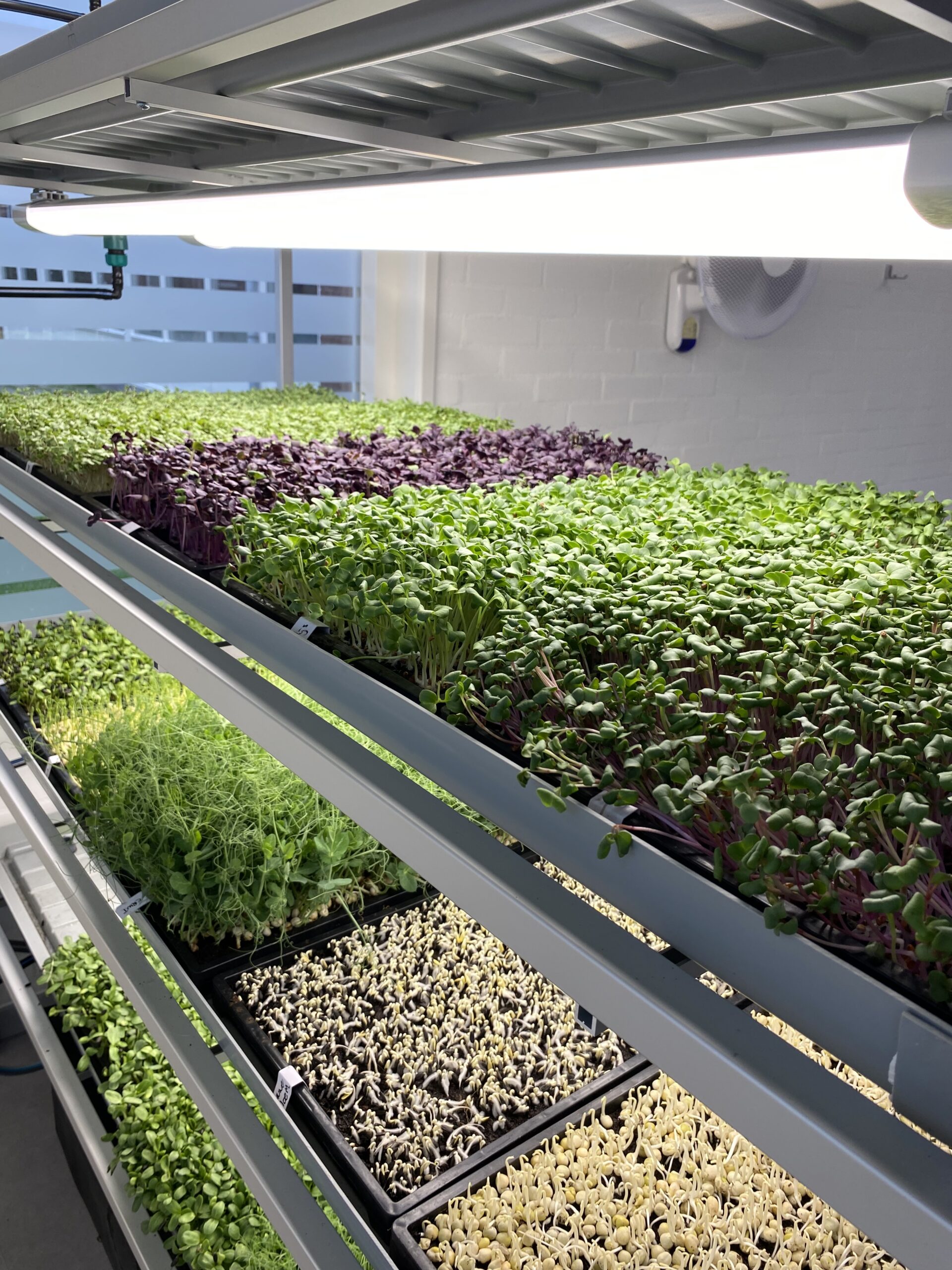 Kweekprincipe - Daphne's Moestuin