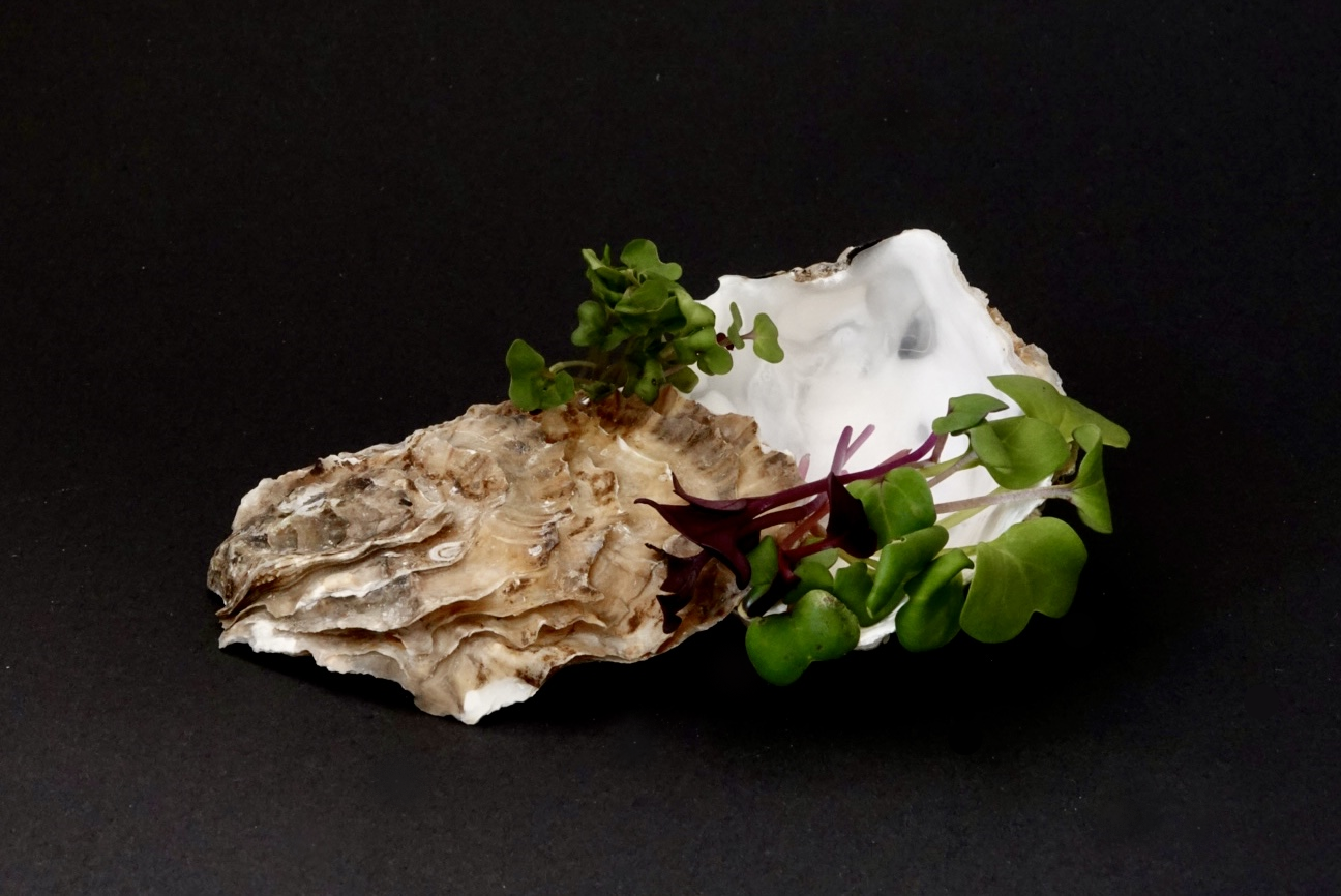 Overige informatie - Daphne's Moestuin