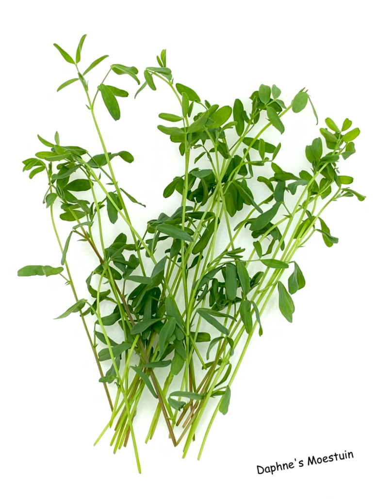 Linzen - 25 gram - € 5,90 (excl. BTW) - Daphne's Moestuin